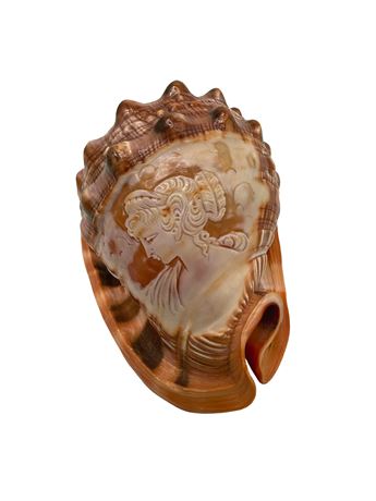 North East Ohio Auctions - Amazing Female Cameo Carved Concho Shell ...