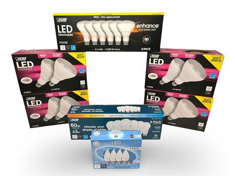 Northeast Ohio Estate Sale Online Auctions - NEW LED Light Bulbs