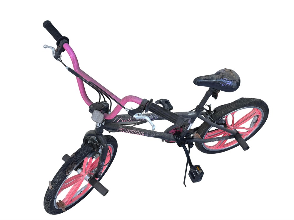 Northeast Ohio Estate Sale Online Auctions - Mongoose Craze 20-Inch ...